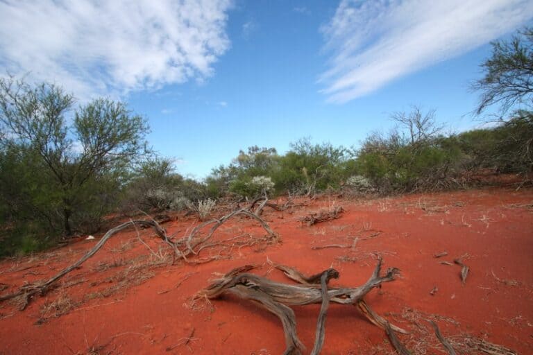 Leading Expert Services Firm | Sapere Research Group NZ & AU