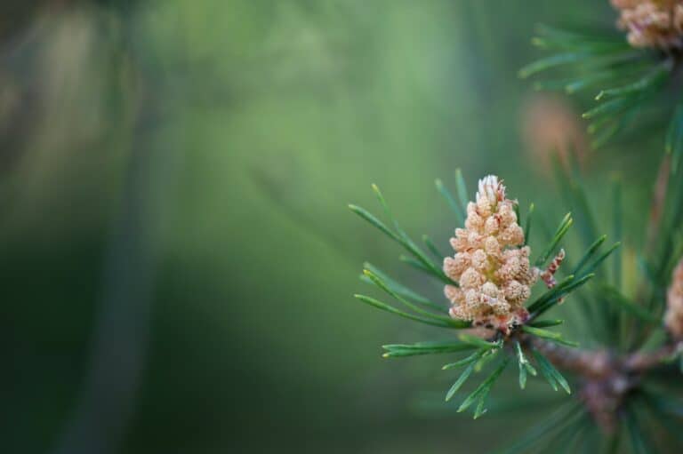 Leading Expert Services Firm | Sapere Research Group NZ & AU